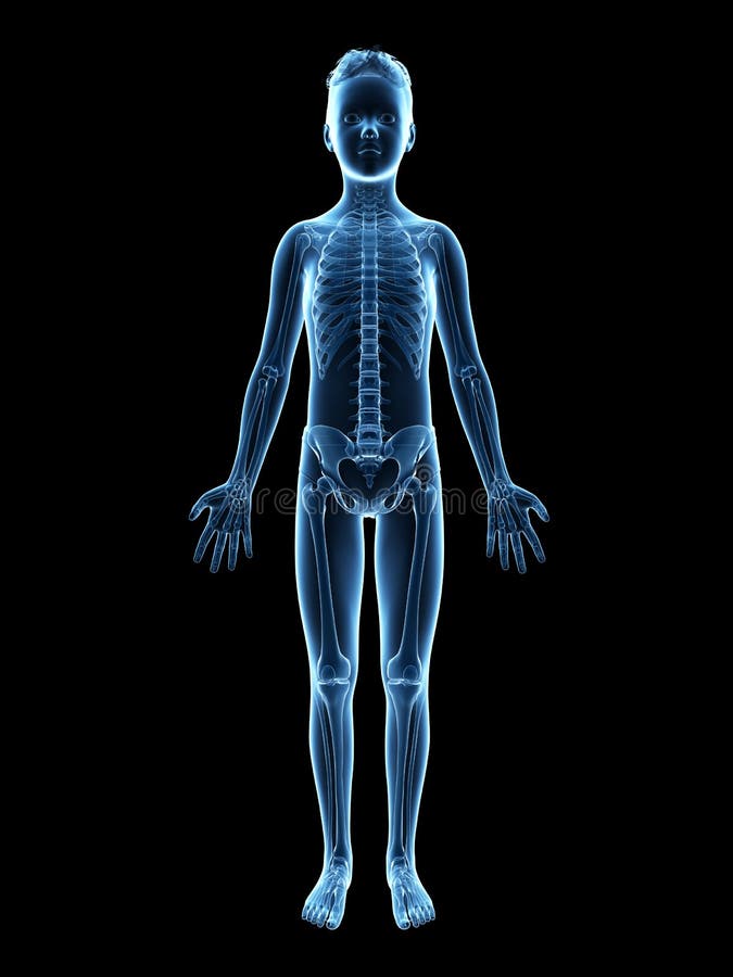 Boy Skeleton Body Stock Illustrations – 423 Boy Skeleton Body Stock ...