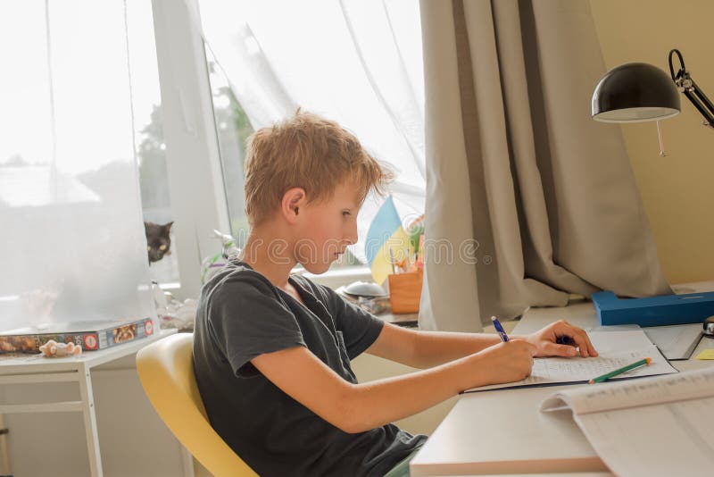 Young Boy Studying at home stock photo. Image of cute - 315100756
