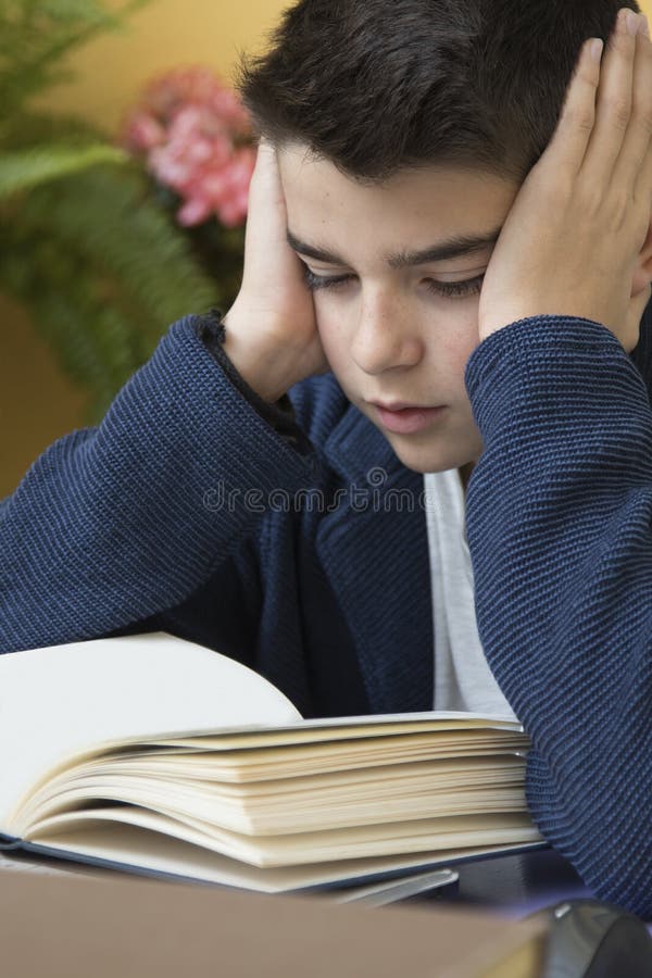 Boy studying book stock photo. Image of exams, handsome - 97241602