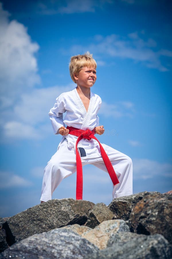 Young boy training karate stock photo. Image of kungfu - 32713786