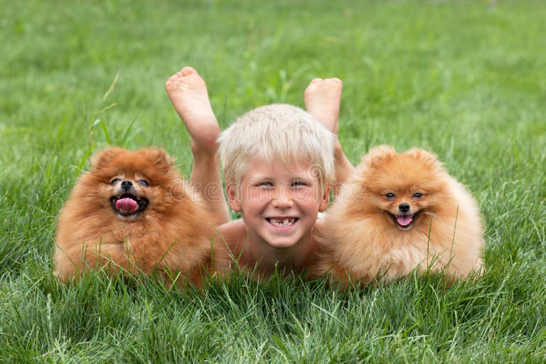 Young boy with two dogs stock photo. Image of kids, friend - 15321888