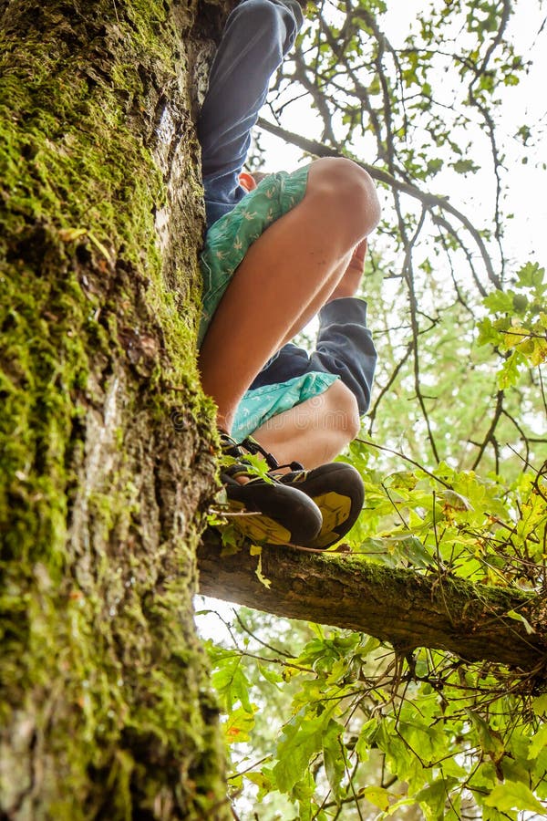 Young Boy Up in the Tree Looking Out Stock Image - Image of park ...