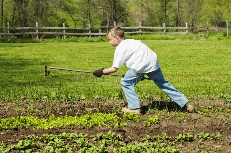 Boy Working Garden with Hoe Stock Photo - Image of gardening, working ...