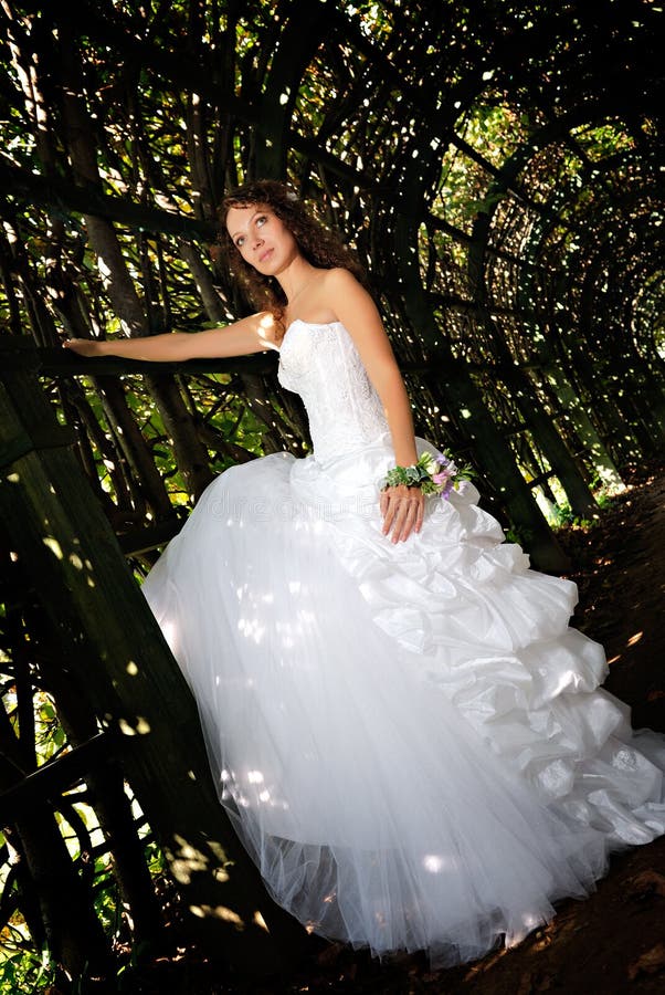 Young bride stock image. Image of caucasian, nature, happy - 24808913