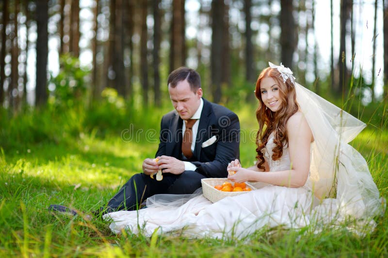 Young Bride and Groom Sitting on a Grass Stock Image - Image of basket ...