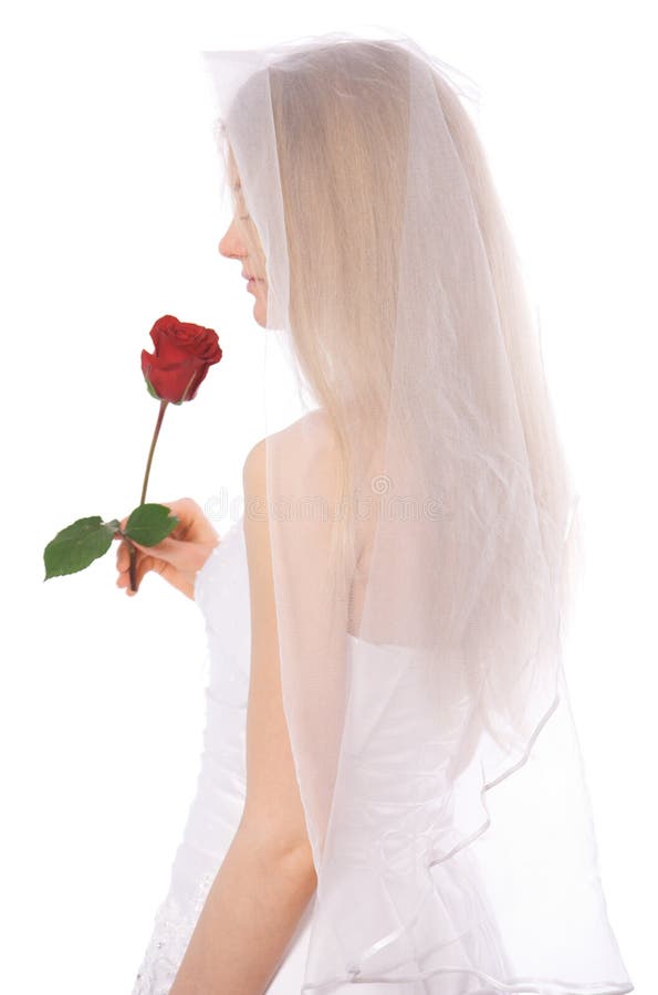 Young bride with rose stock photo. Image of beautiful - 4397718