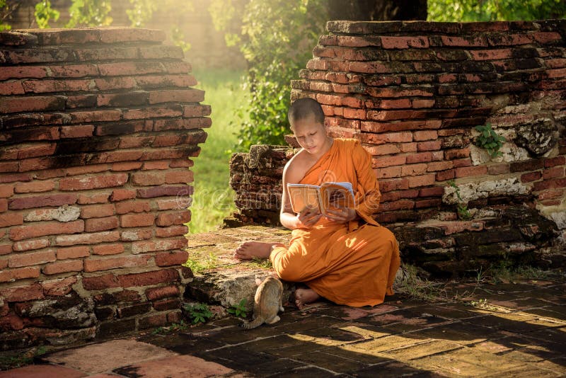 Young Buddhist novice monk stock image. Image of nepalese - 74674649