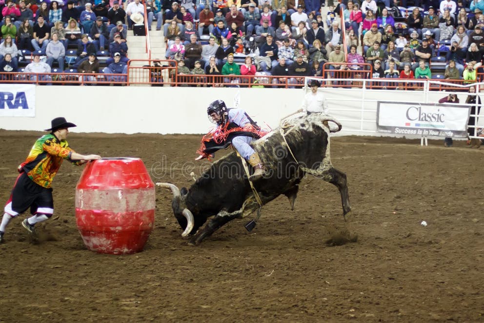 Young Bull Rider editorial stock image. Image of crowd - 28523714