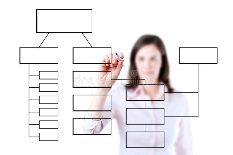 Young Business Woman Writing Process Flowchart Diagram Screen Isolated ...