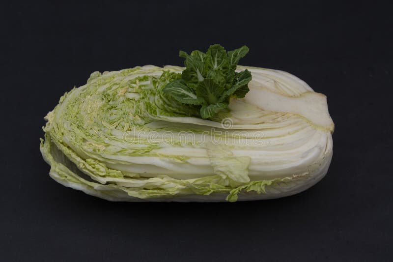 Young Cabbage Sprouted from Half a Peking Cabbage on a Black Background ...