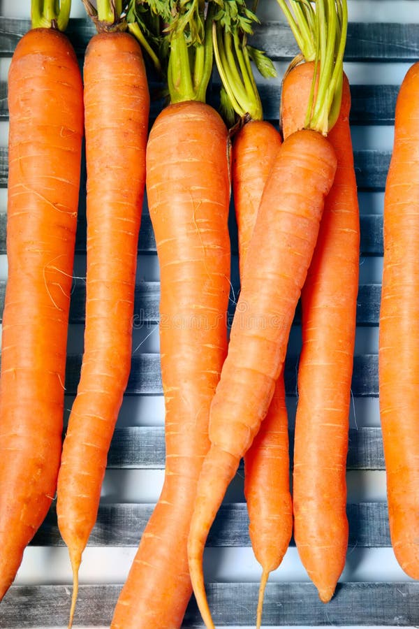 Organic carrots stock image. Image of ingredients, healthy - 21541699