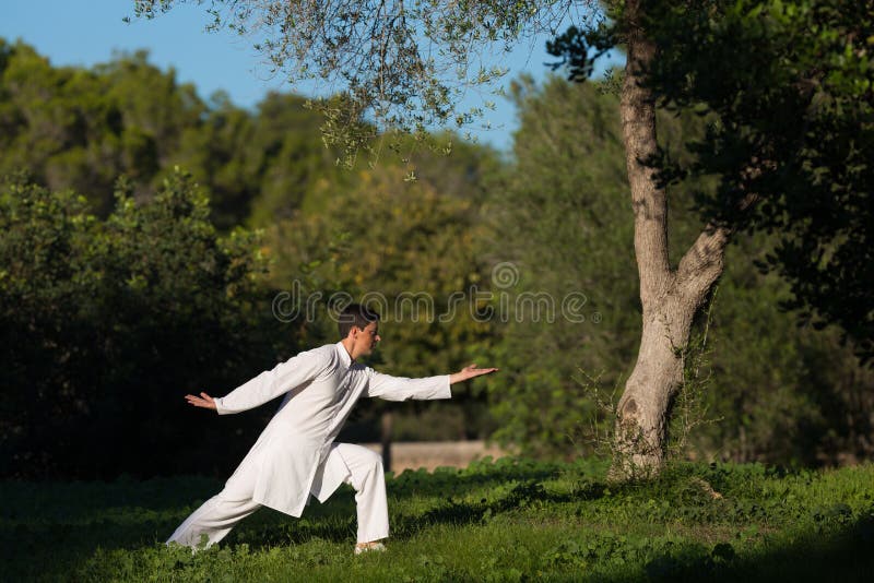 Young Caucasian Man Practicing Tai-Chi Outdoors in the Park Stock Image ...