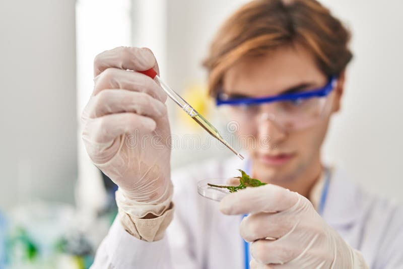 Young Caucasian Man Scientist Pouring Liquid on Plant Sample at ...