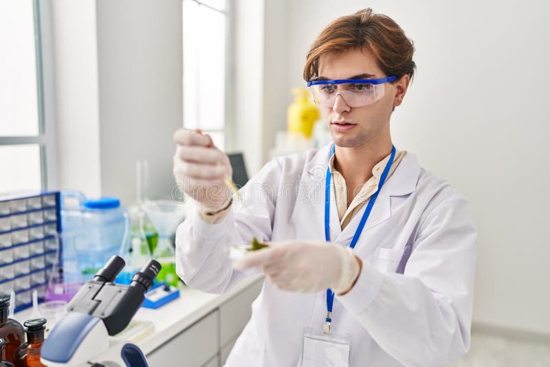 Young Caucasian Man Scientist Pouring Liquid on Plant Sample at ...