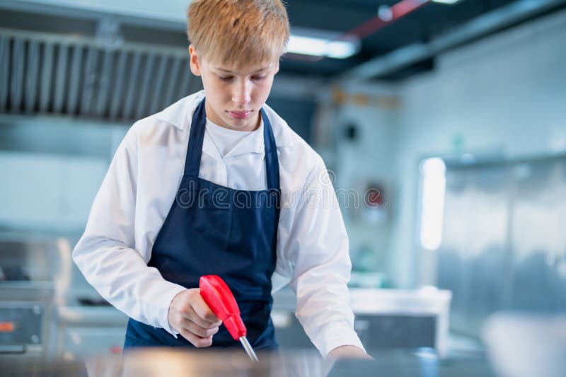Young Chef Cooking at Restaurant Kitchen Stock Image - Image of ...