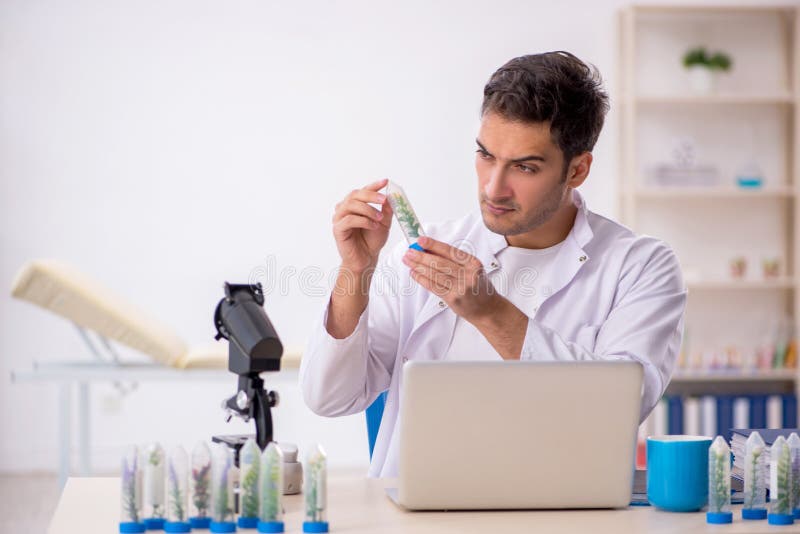 Young Male Chemist in Drugs Synthesis Concept Stock Photo - Image of ...