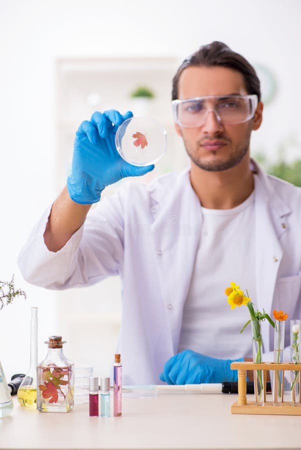 Young Male Chemist in Perfume Synthesis Concept Stock Image - Image of ...