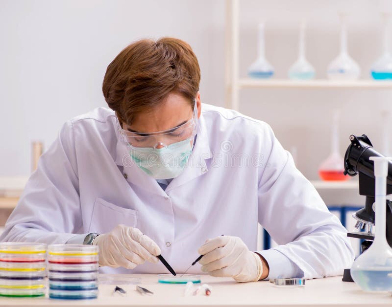 Young Chemist Working in the Lab Stock Image - Image of analysis ...