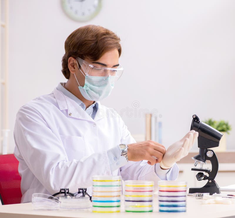 The Young Chemist Working in the Lab Stock Image - Image of medicine ...