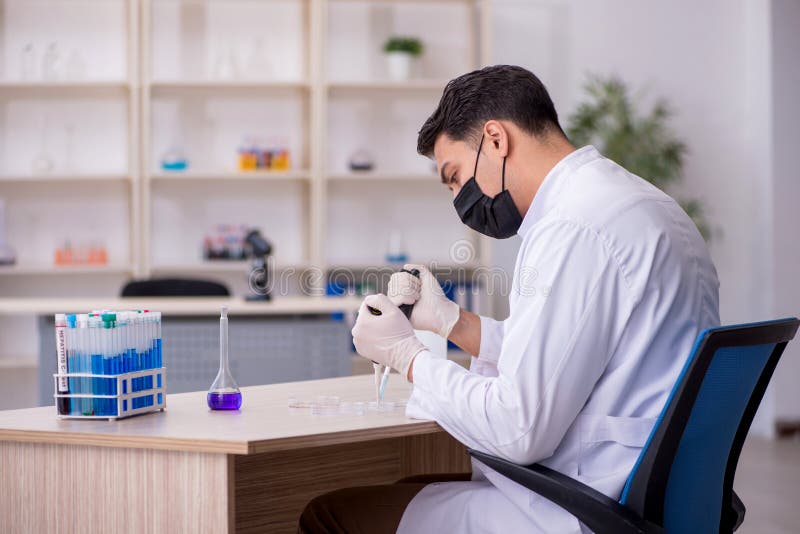 Young Male Chemist Working at the Lab Stock Image - Image of petri ...