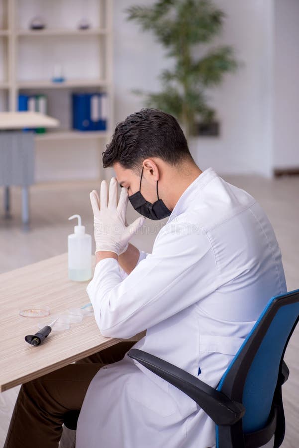 Young Male Chemist Working at the Lab Stock Image - Image of diagnostic ...