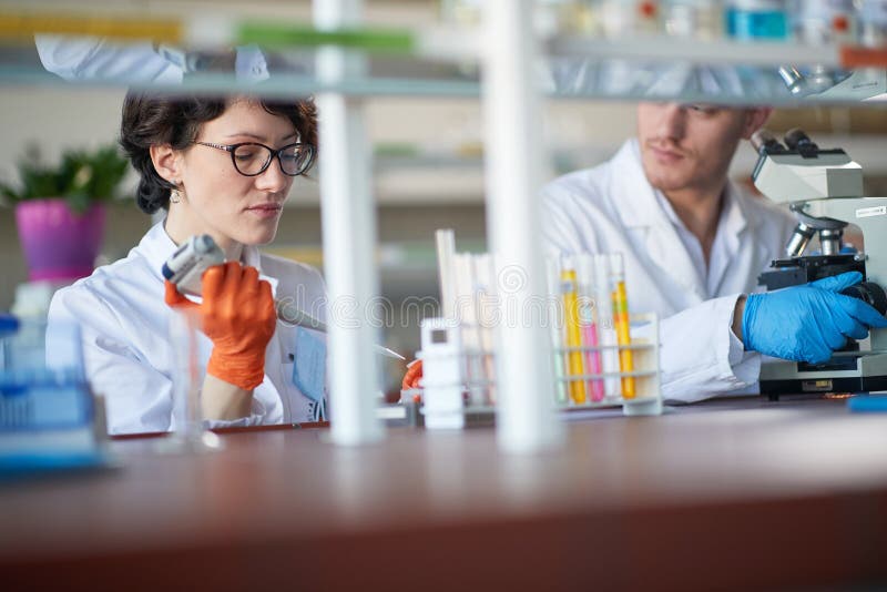 Young Chemistry Students are Focused on Pipetting and Microscoping in a ...