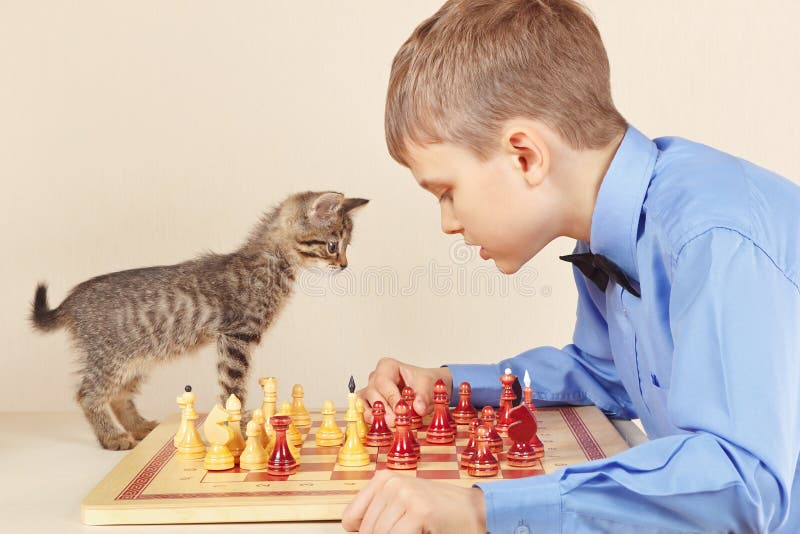 Young Chessplayer with Kitten Plays Chess. Stock Photo - Image of ...