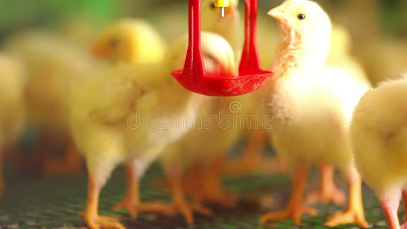 Teamwork Chart Picture. Image: 36300063