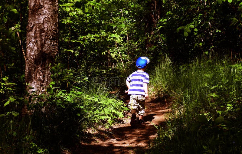 Young child in forest stock image. Image of child, protection - 95040279