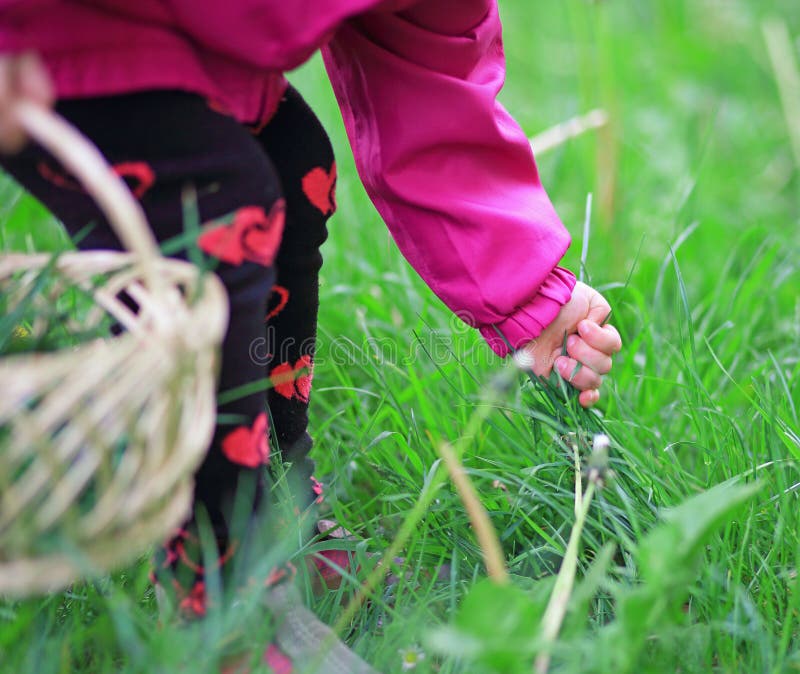 Child Gathering Grass in Spring Stock Image - Image of tear, caucasian ...