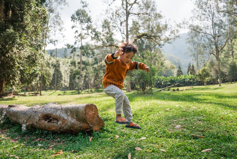 A Child Skillfully Balancing on a Log in a Beautiful Scenic Outdoor ...
