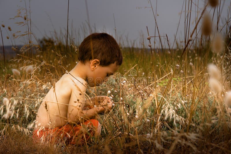 Young child in nature stock image. Image of nature, forest - 13909515