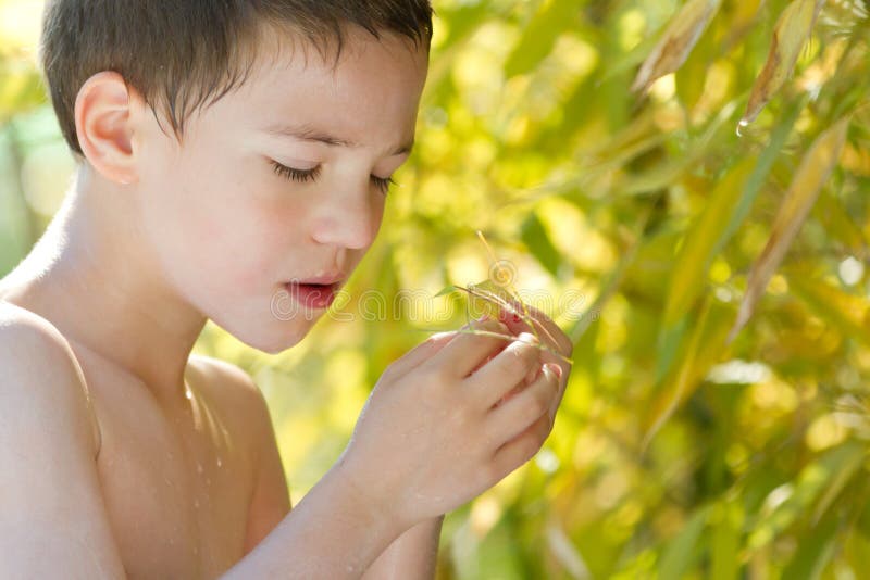 Young child in nature stock photo. Image of ecology, calm - 15861914