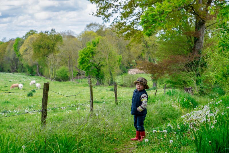 Young child in nature stock image. Image of beautiful - 217255931