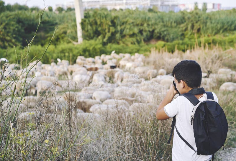 Young Child Taking Photos in the Street Stock Photo - Image of male ...