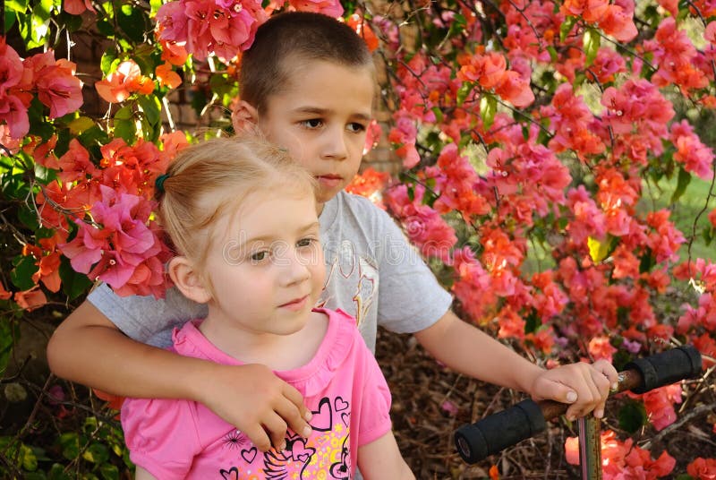 Young Children Standing by Flower Bush Stock Image - Image of children ...