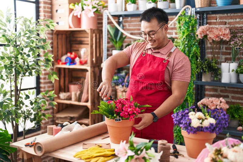Young Chinese Man Florist Cutting Plants at Florist Stock Image - Image ...