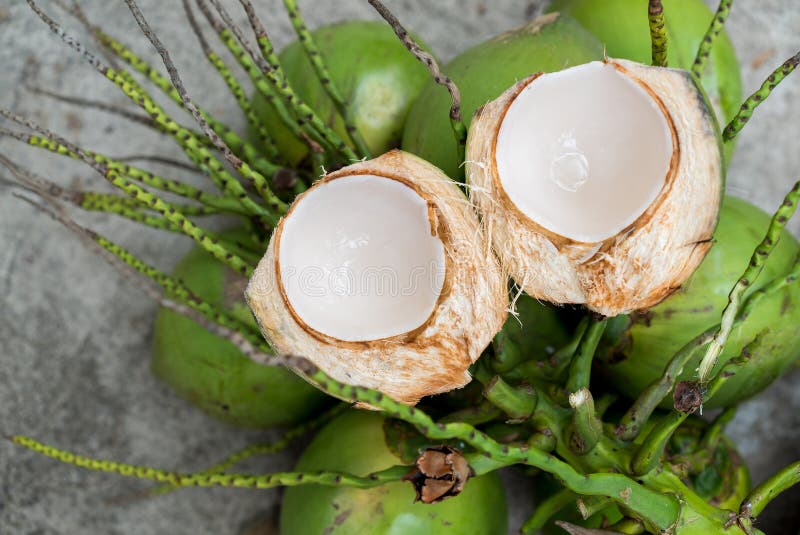 Young coconut cut haft stock photo. Image of green, holiday - 71075738