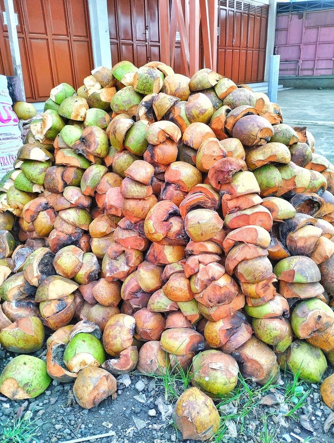 Young Coconut Skins Piled Up on the Side of the Road Stock Image ...
