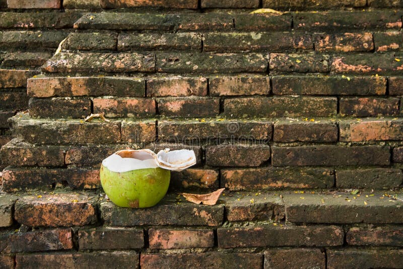 Young coconut on the wall stock image. Image of broken - 79714791