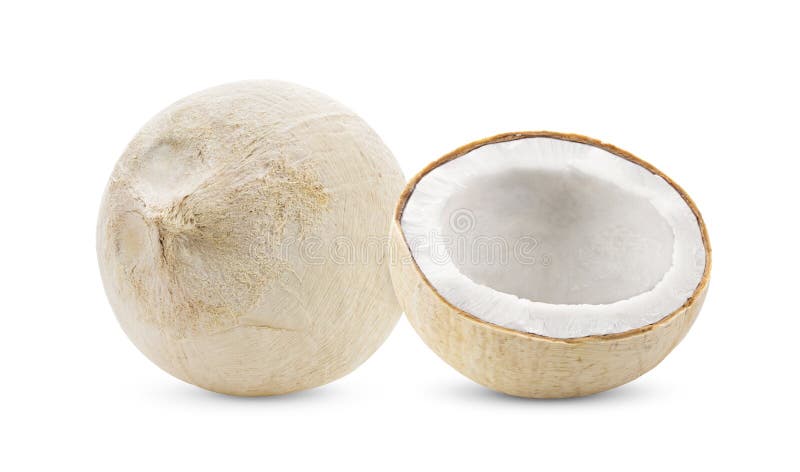 Coconut on White Background Stock Photo - Image of cracked, delicious ...