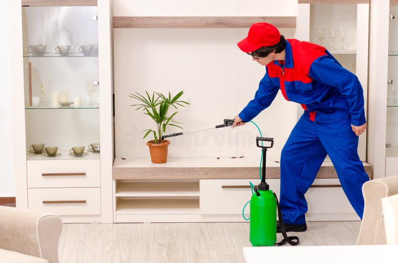 Young Contractor Doing Pest Control at Home Stock Image - Image of ...