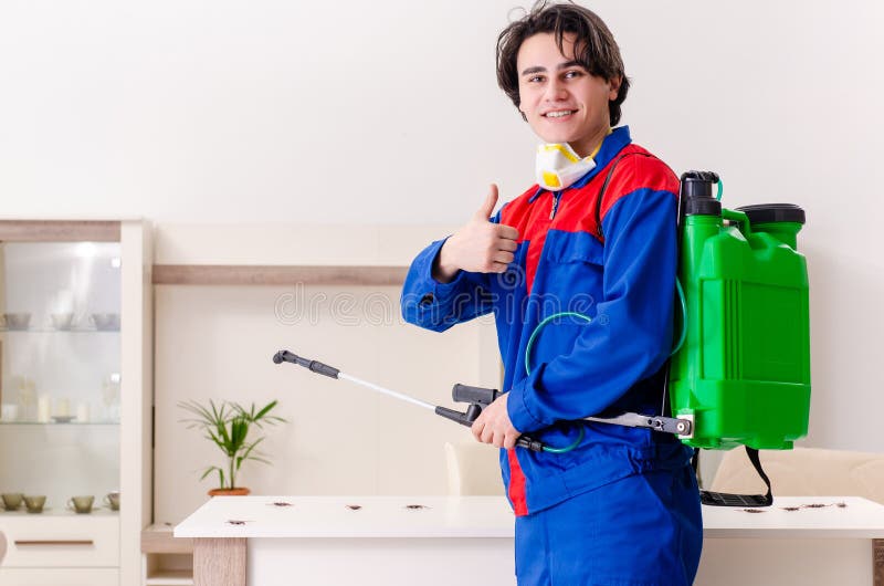 Young Contractor Doing Pest Control At Home Stock Photo - Image of ...