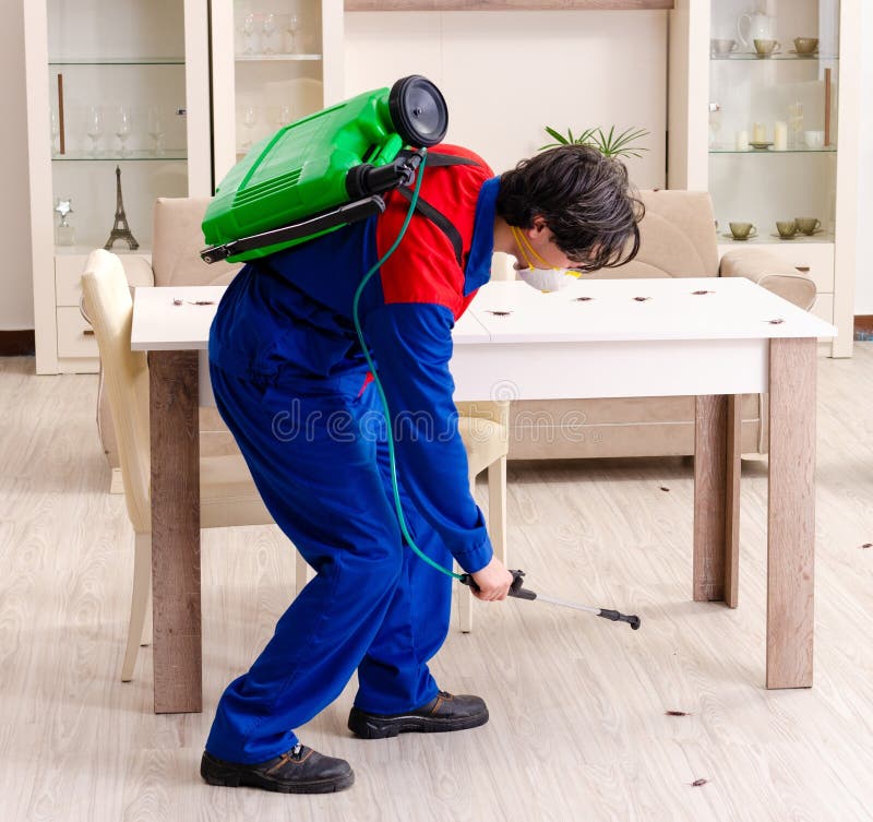 Two Young Contractor Employees Moving Personal Belongings Stock Image ...
