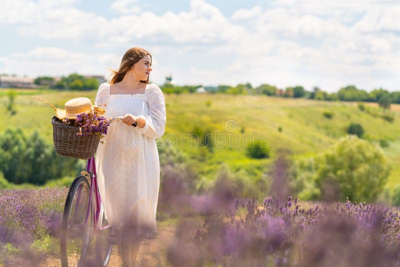 Young Country Woman Wheeling Her Bicycle through Lavender Fields Stock ...