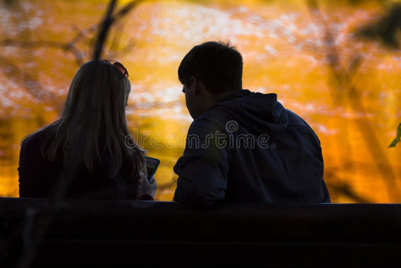 Young Couple Sitting Side by Side on a Bench Stock Image - Image of ...