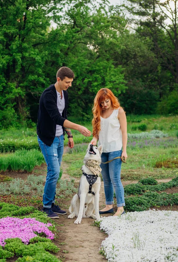 A Young Couple Walking a Dog in the Park Stock Image - Image of girl ...