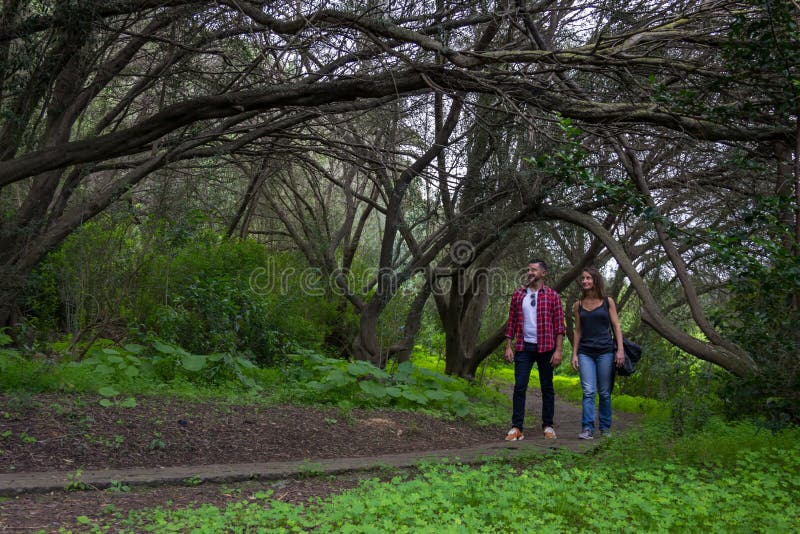 Young Couple Walking on Forest Path Beneath Tree Big Branches Stock ...