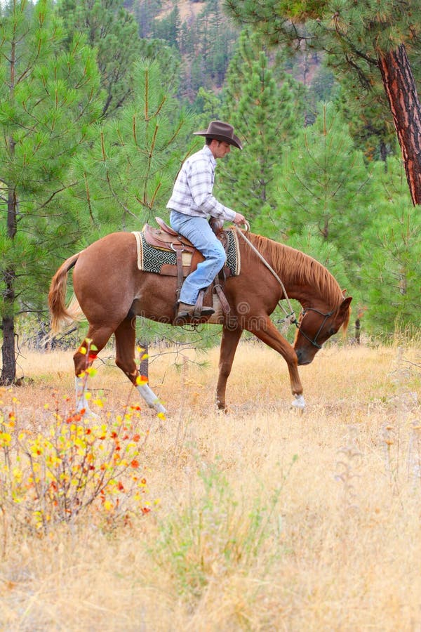 Cowboy stock image. Image of ride, beautiful, boots, male - 21577453