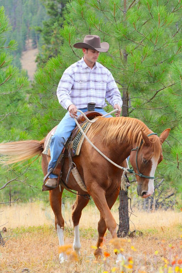 Cowboy stock image. Image of ride, beautiful, boots, male - 21577453